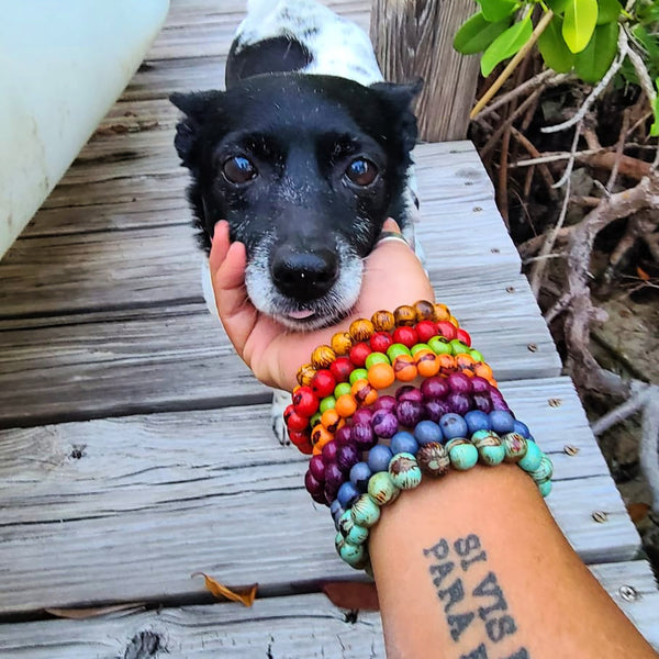 Açaí Seeds Bracelets - Handmade in the Amazonia – Rainforest Chica