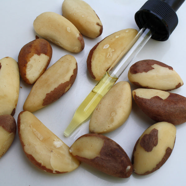 Brazil Nut Oil - 100% pure, unrefined, from Brazil. – Rainforest Chica