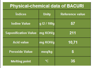 Bacuri Butter - 100% pure, unrefined, from Brazil – Rainforest Chica