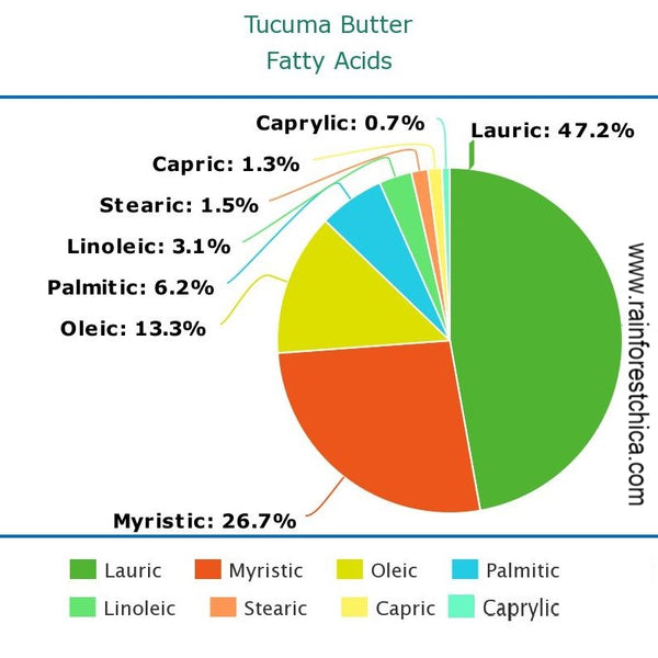 Tucuma Butter - 100% pure, unrefined from Brazil. – Rainforest Chica