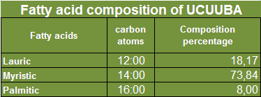 Ucuuba Butter - 100% pure, unrefined. From Brazil. – Rainforest Chica